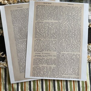 Vintage Encyclopedia Pages - Digital Backgrounds for Art Prints and ...