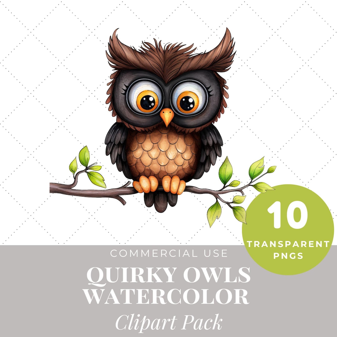 Quirky Watercolor Owls Clipart | Owl PNG - Etsy