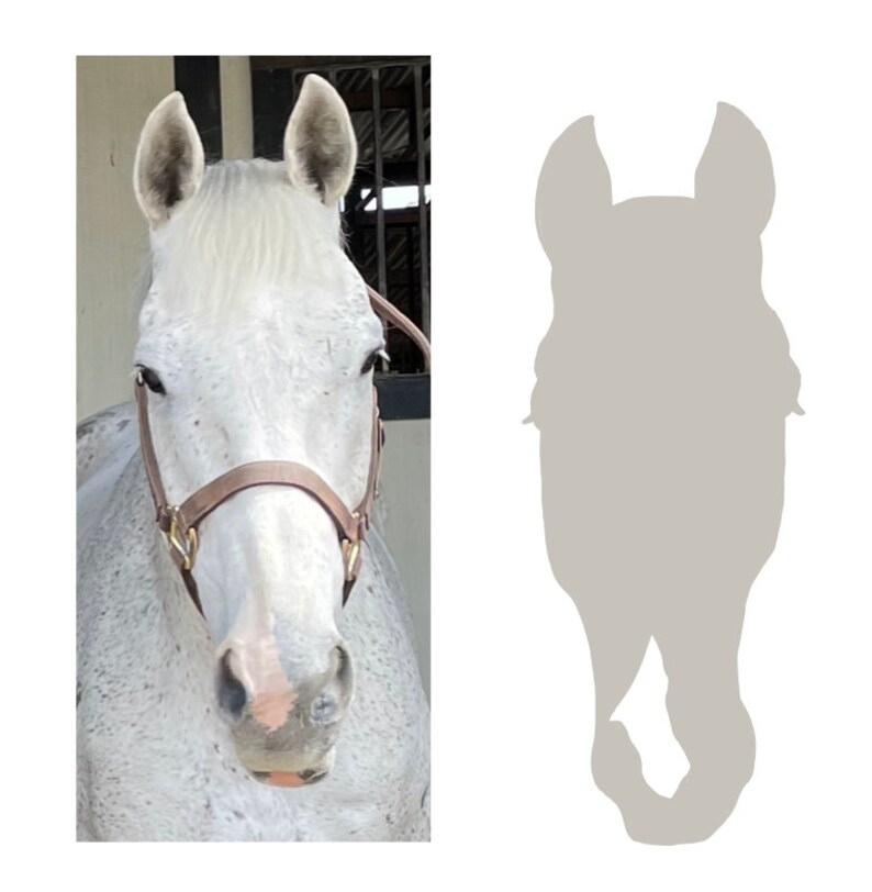 Additional Stickers Custom Horse Head Stickers | Etsy