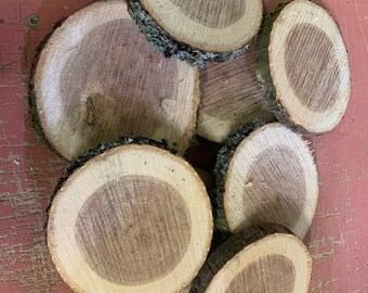 Red Oak Tree Slices - Etsy