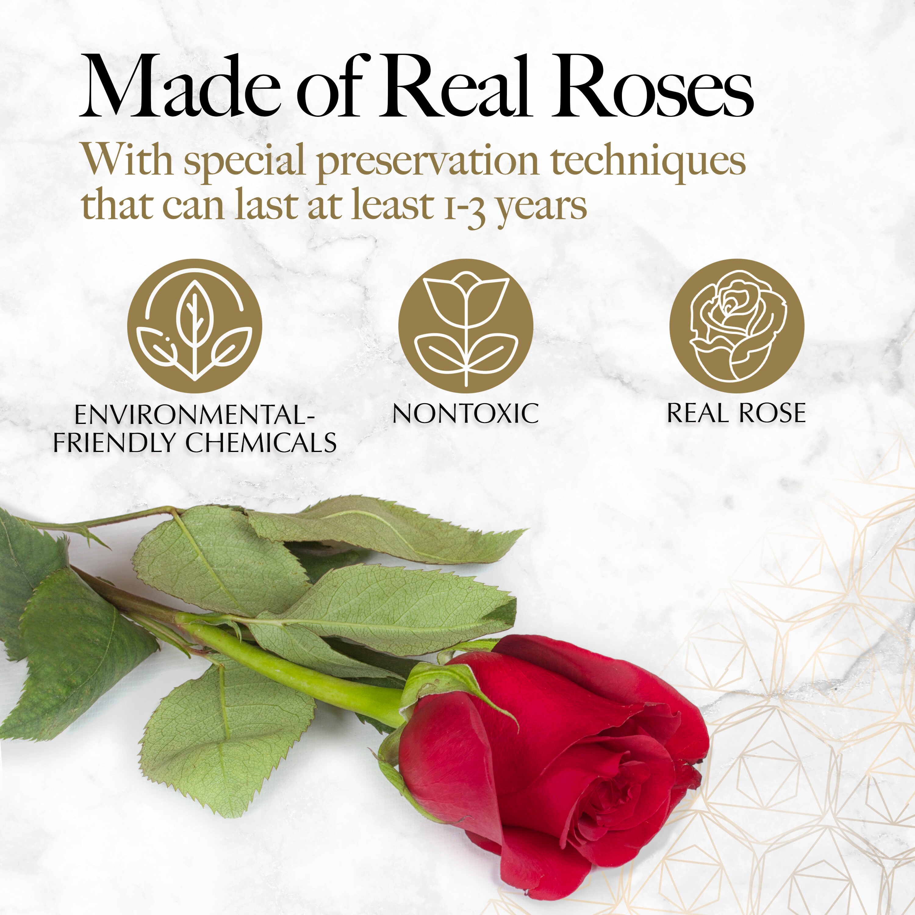 27-piece Forever Rose Box Preserved Roses in a Box, Immortal Roses in a ...