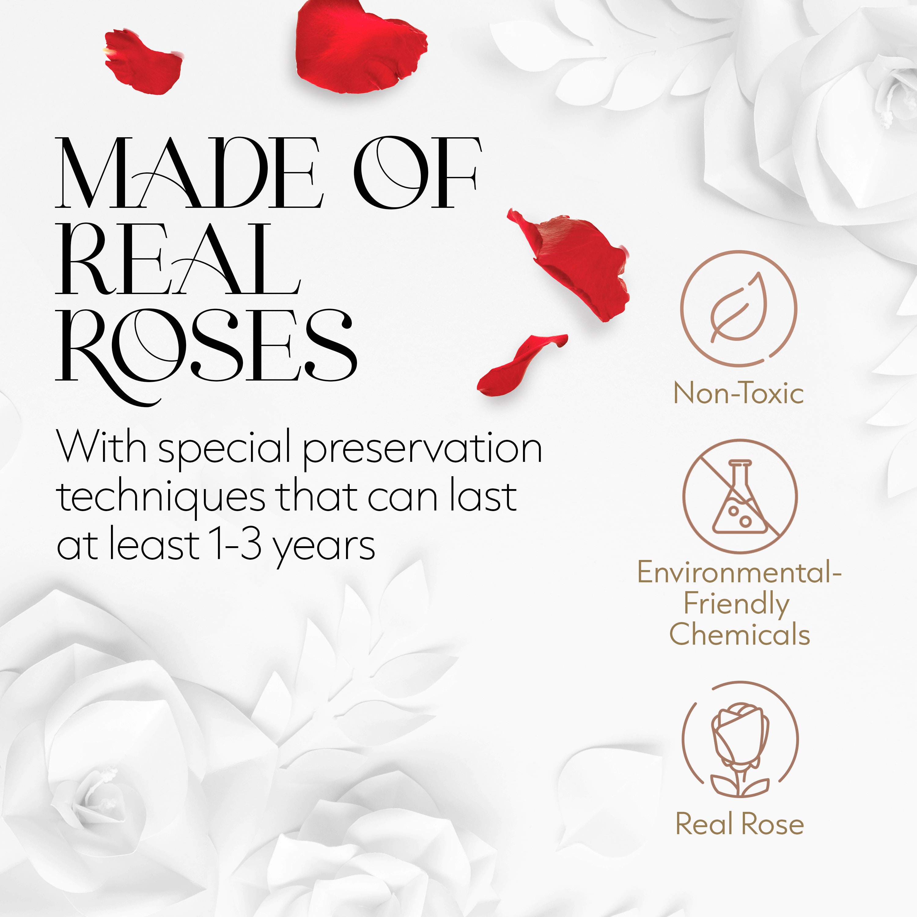 Handmade Seven Forever Red Rose Box Preserved Roses in a - Etsy