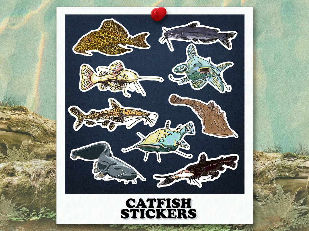 Catfish Stickers - Etsy