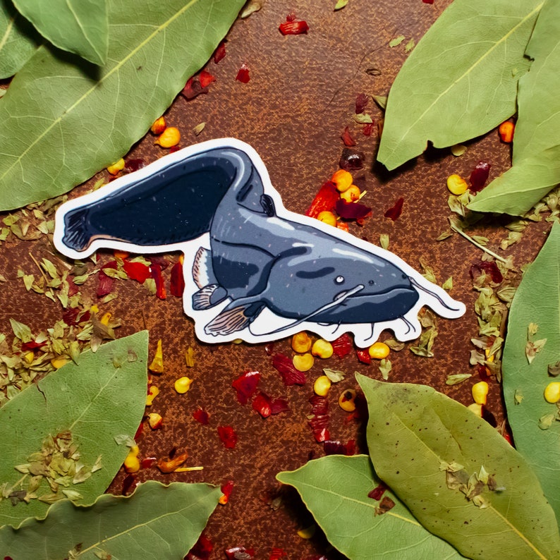 Catfish Stickers - Etsy