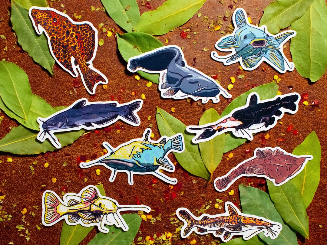 Catfish Stickers - Etsy