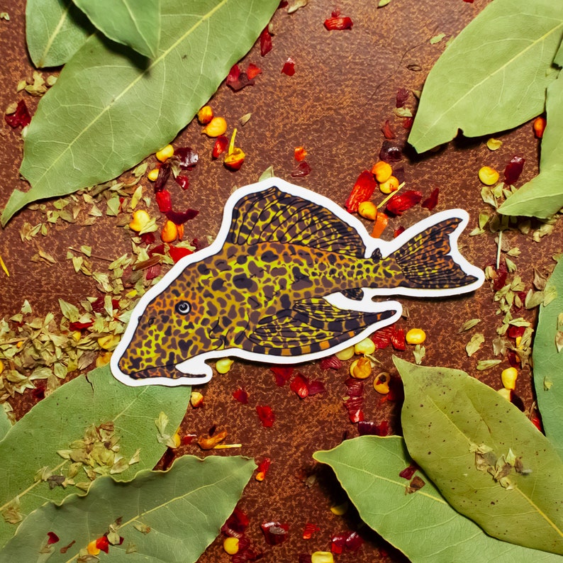 Catfish Stickers - Etsy