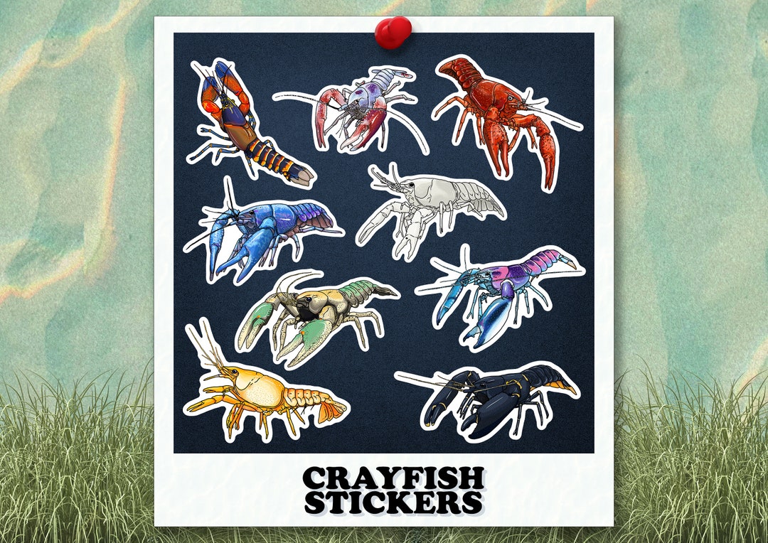 Crayfish Stickers - Etsy