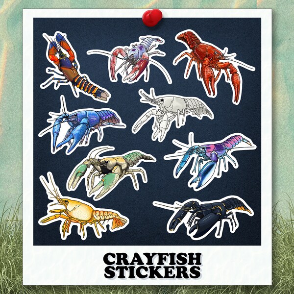 Crayfish - Etsy