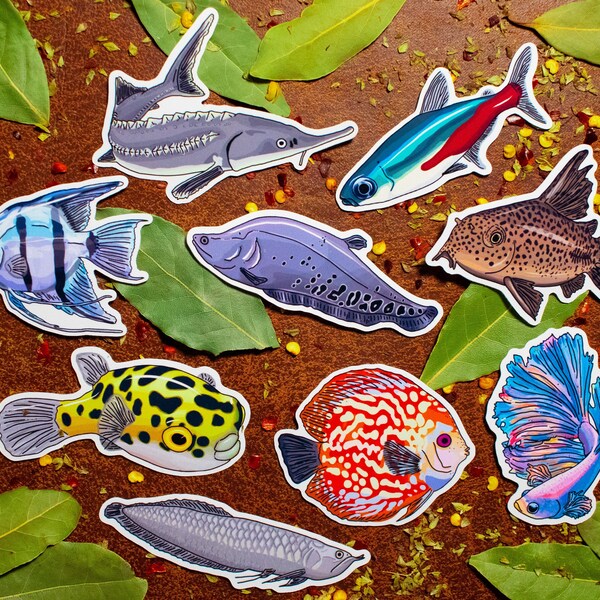 Fish Stickers - Etsy