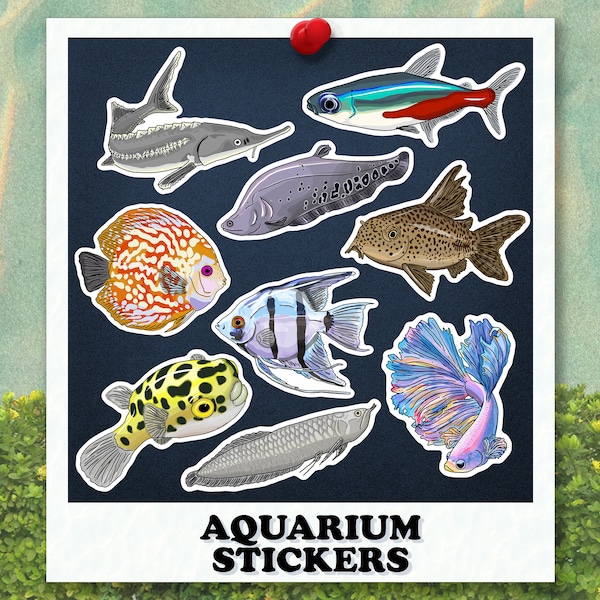 Fish Stickers - Etsy