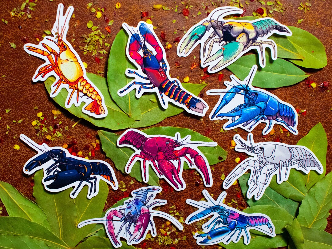 Crayfish Stickers - Etsy