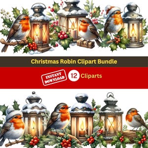 12 Christmas Robin Clipart Set , Printable Watercolor Clipart, High ...