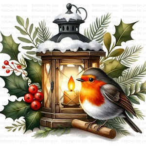 12 Christmas Robin Clipart Set , Printable Watercolor Clipart, High ...