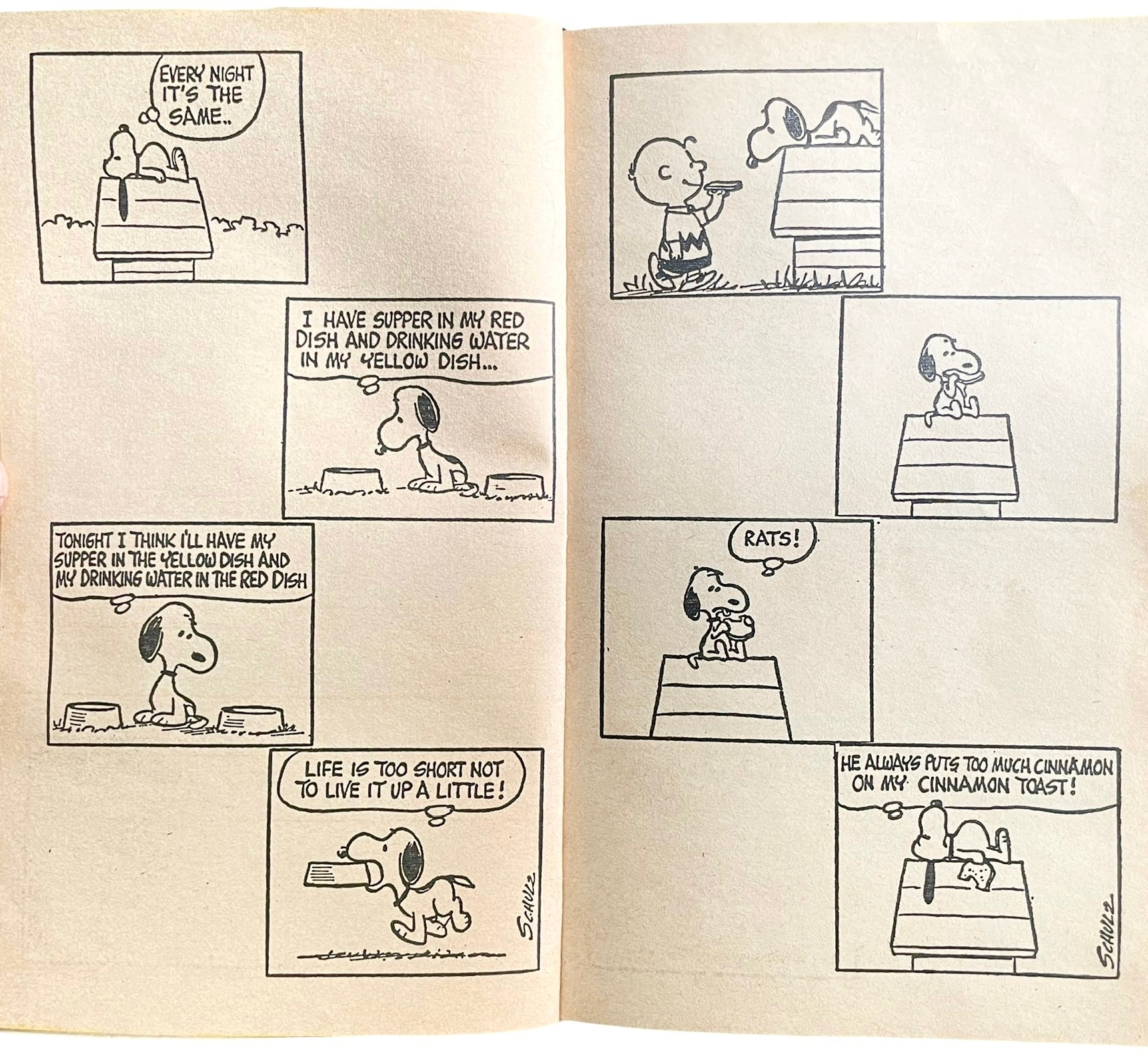 You’re Something Special, SNOOPY Comic Strip Book - Charles Shultz ...