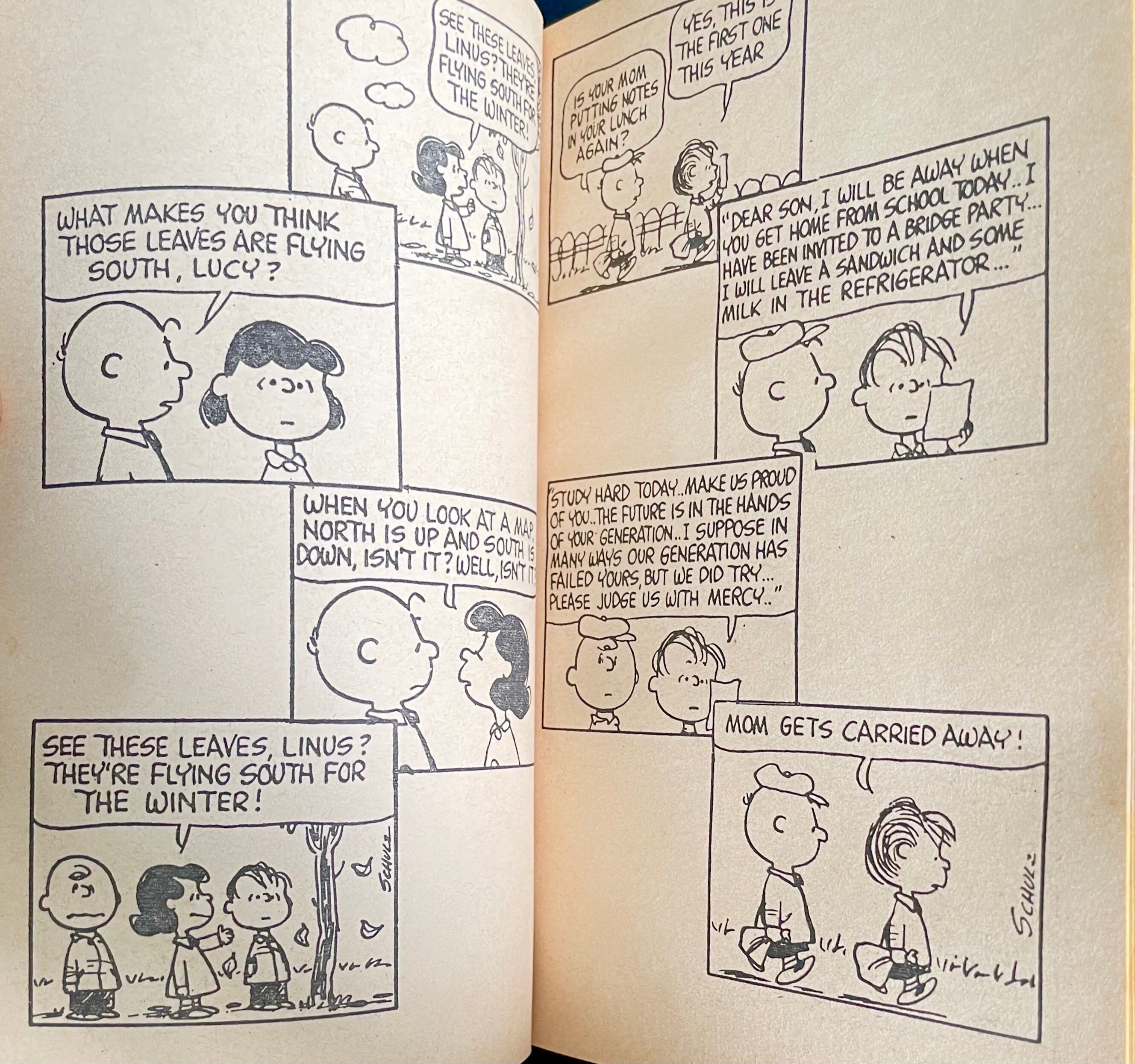 You’re Something Special, SNOOPY Comic Strip Book - Charles Shultz ...