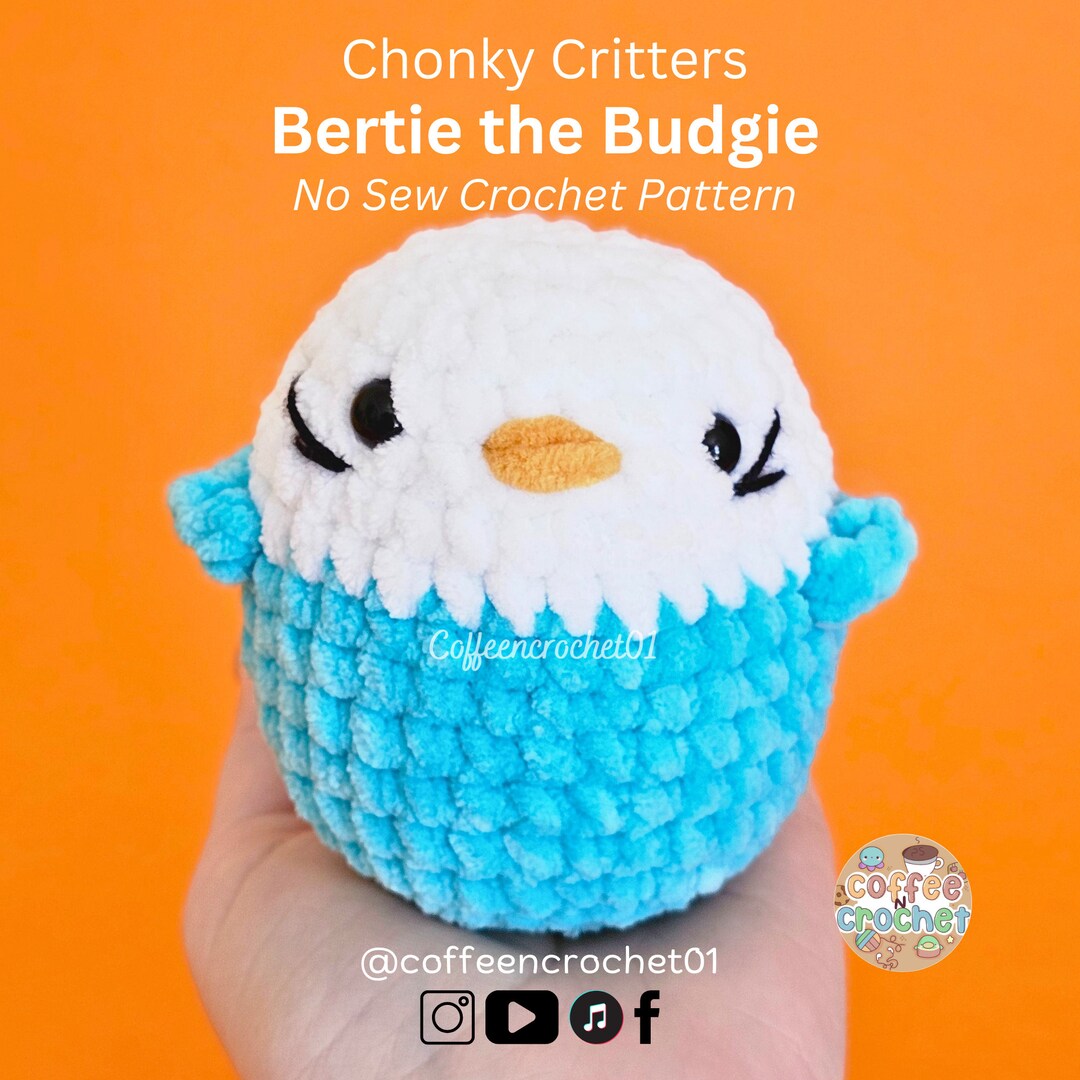 No Sew Budgie Bird Crochet Pattern Amigurumi Pattern Budgie Pattern Crochet Pattern Cute ...