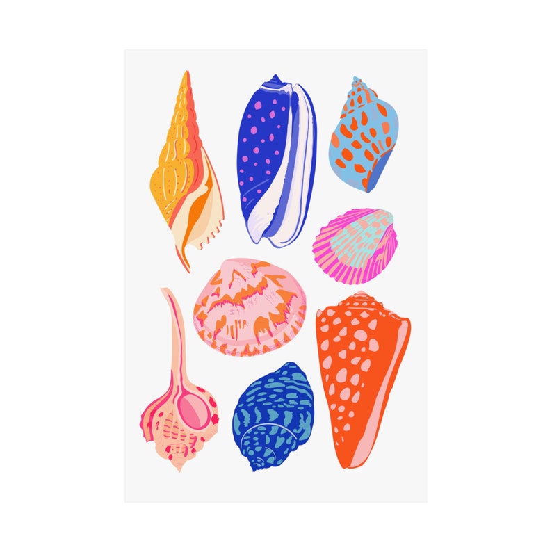 Sea Shell Poster 24x36 Physical Poster Art Print Beachy Decor Tropical ...