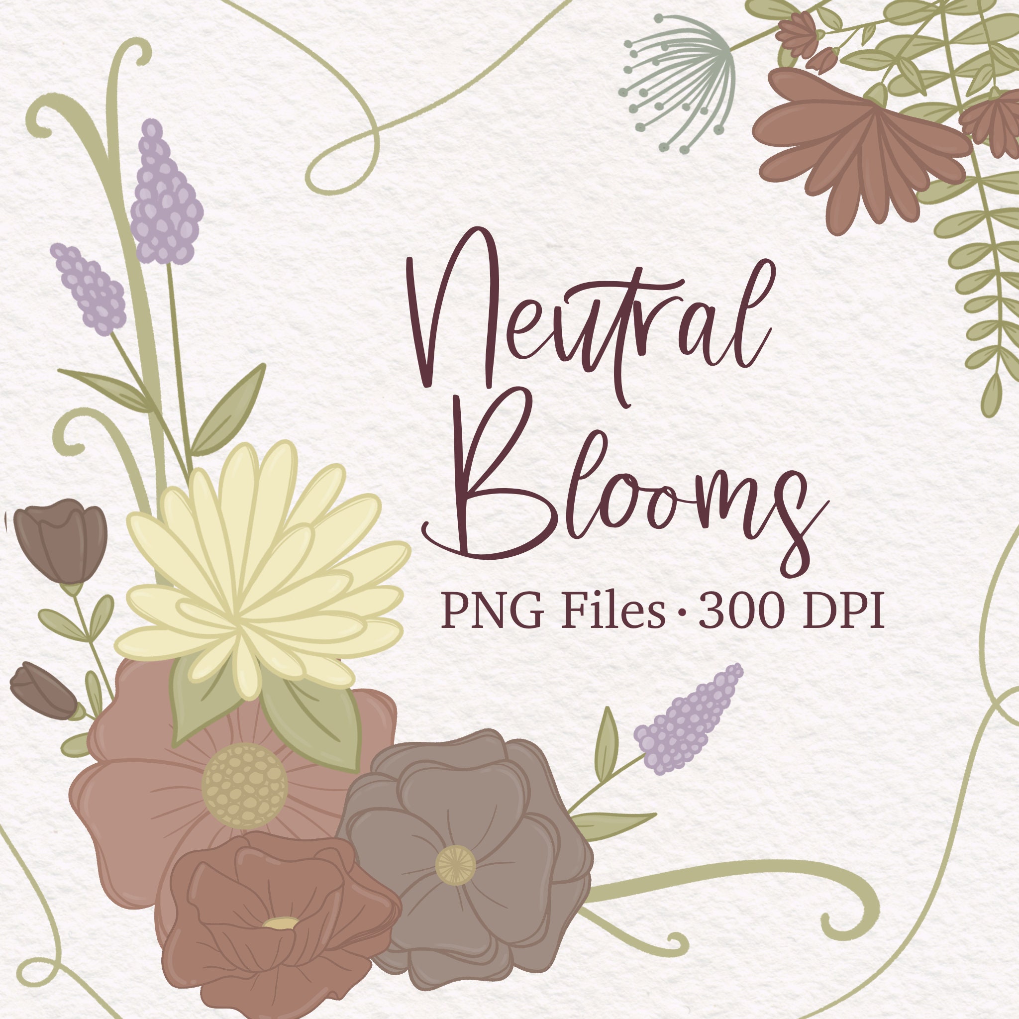 Neutral Flowers PNG Files/ Floral Clip Art Files - Etsy