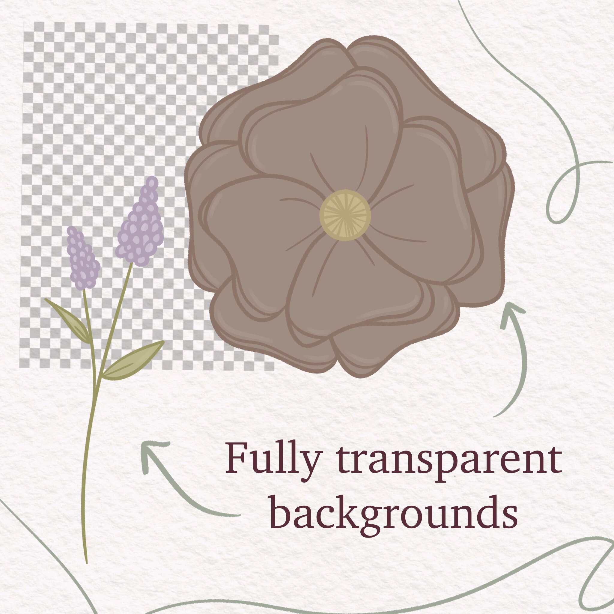 Neutral Flowers PNG Files/ Floral Clip Art Files - Etsy