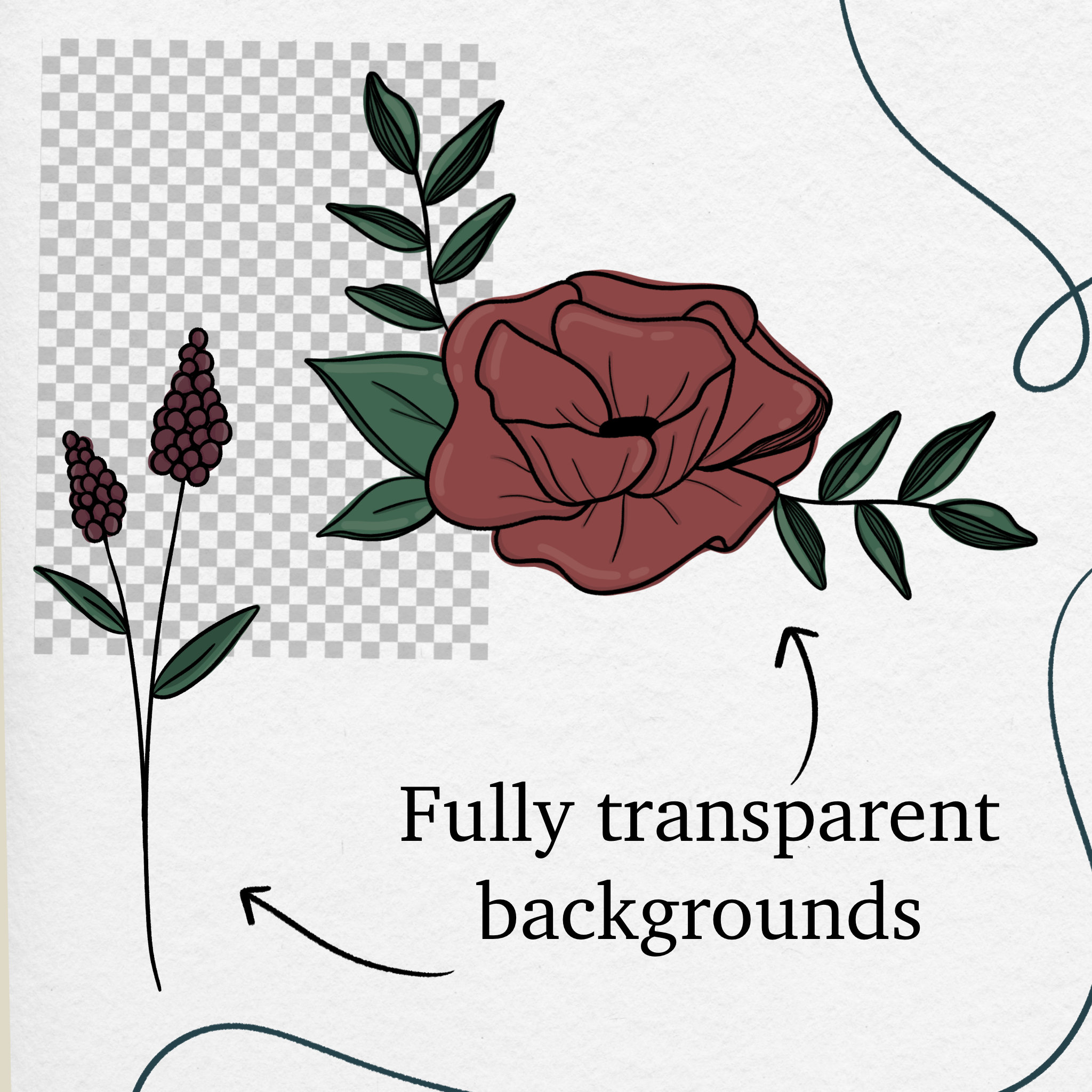 Hand Drawn Flowers Clip Art/ Flowers PNG Files - Etsy