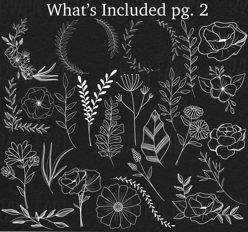 50 Hand Drawn Leaves & Flowers Clip Art Files/ PNG and SVG Files - Etsy