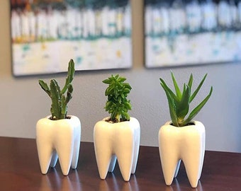 Tooth Pot Planter - Etsy