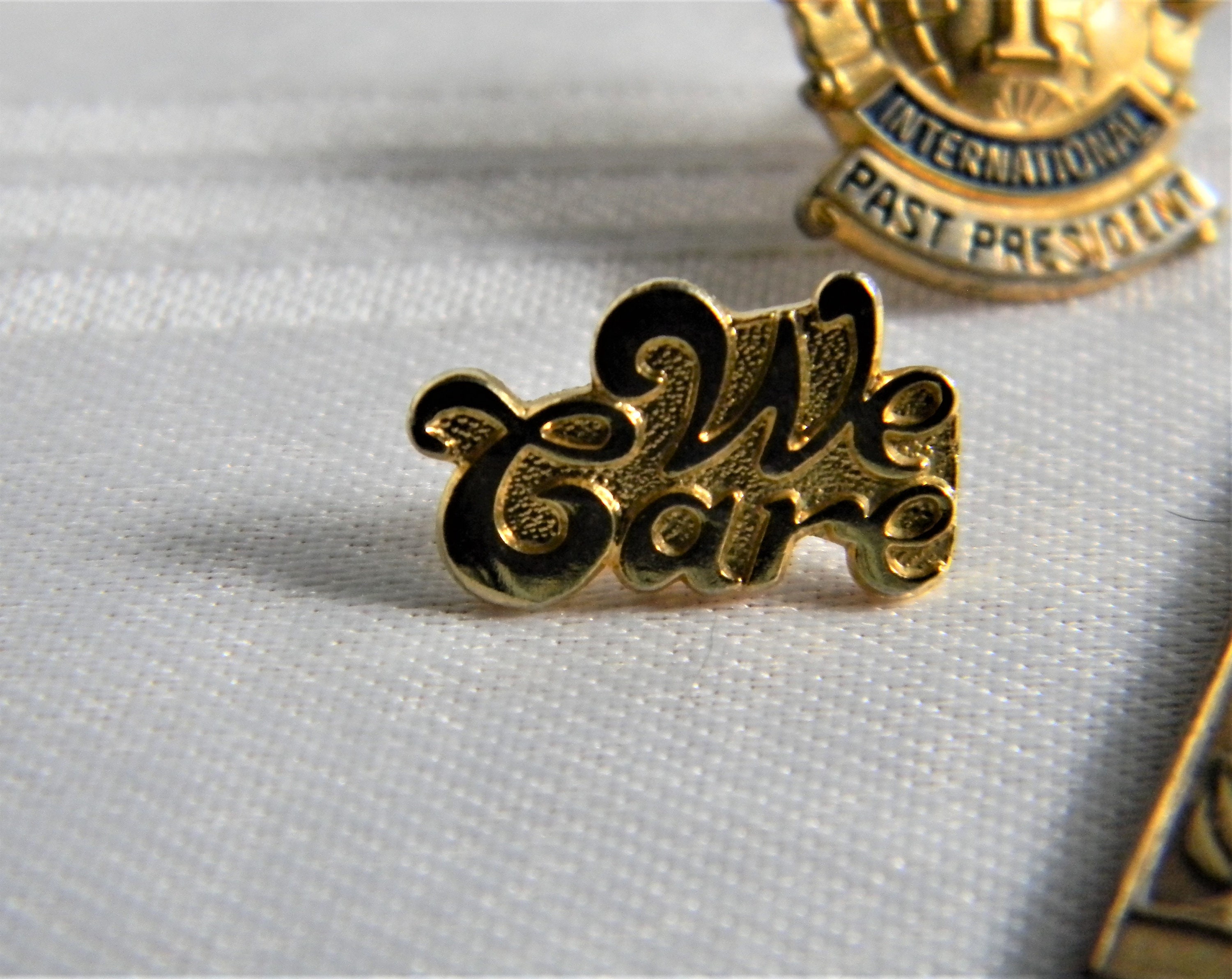 P311 Lot of Thirteen Lapel Pins Masonic Toastmasters Cub - Etsy