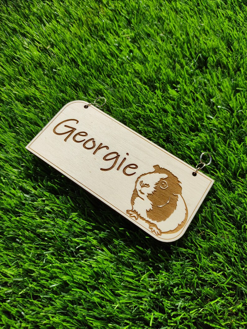 Personalized Wooden Pet Plaque Pet Crate Name Tag Cage and - Etsy