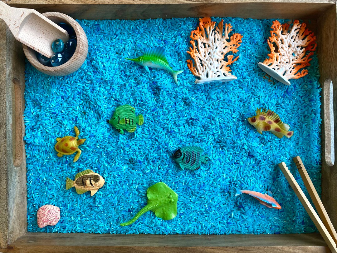 Ocean Theme Sensory Bin-independent Play for Children - Etsy