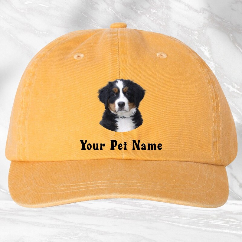 Hat for Dog - Etsy