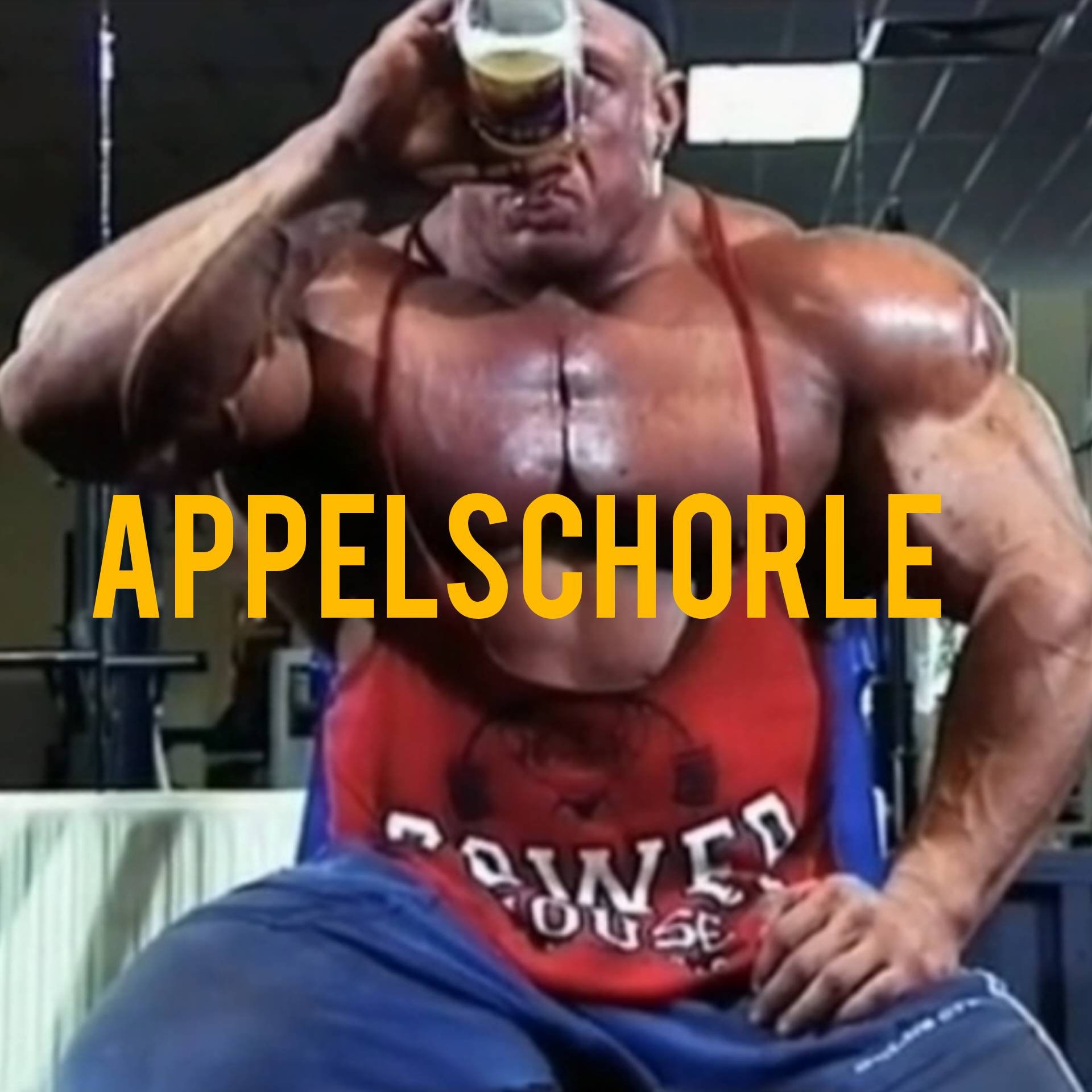 Markus Rühl Appelschorle Abbelschorle Meme Bodybuilding - Etsy.de