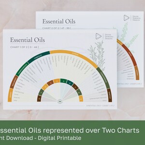 Essential Oils Pendulum Dowsing Chart + Carrier Oils Chart | Pendulum ...