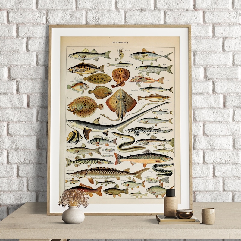 Fish Poster - Etsy
