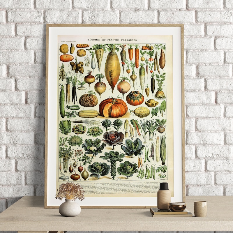 Vegetable Poster - Etsy