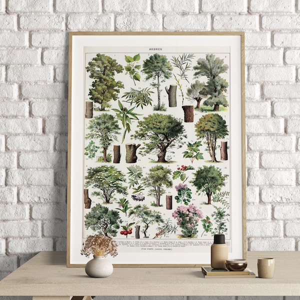 Botanical Poster - Etsy