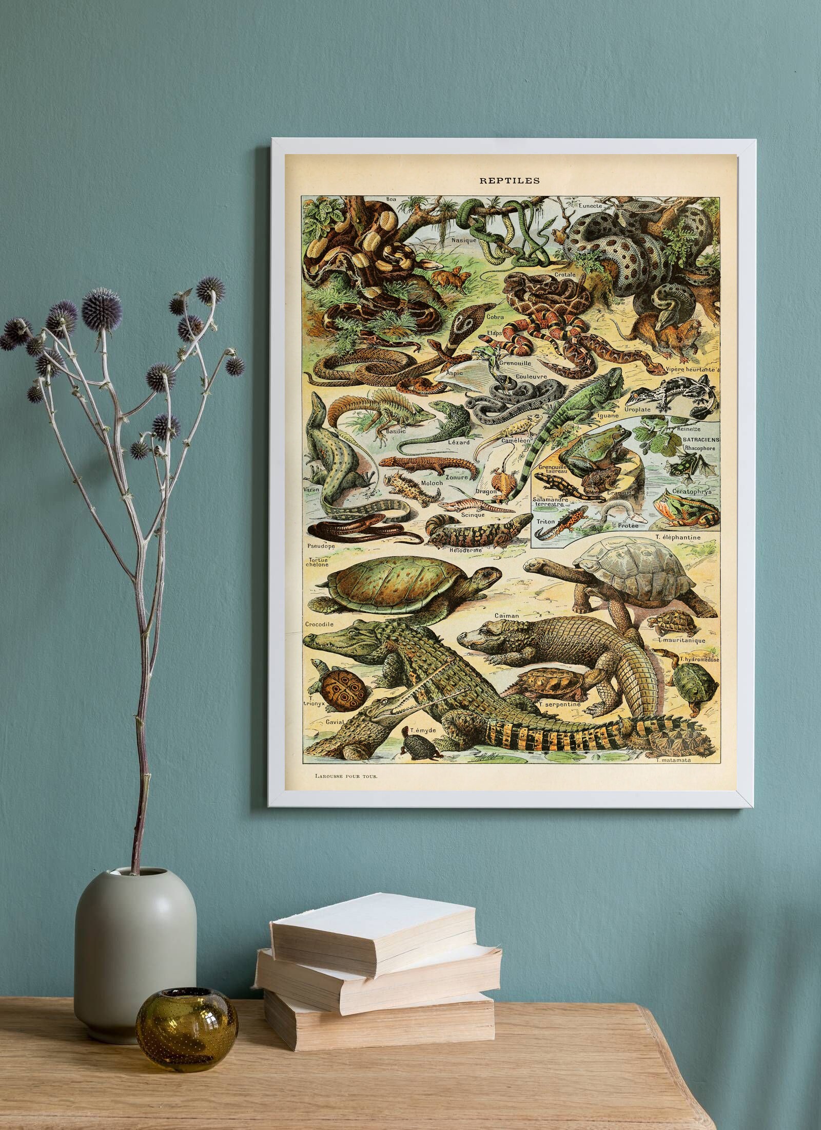 Adolphe Millot Prints, Reptiles Chart Print, Adolphe Millot Vintage ...