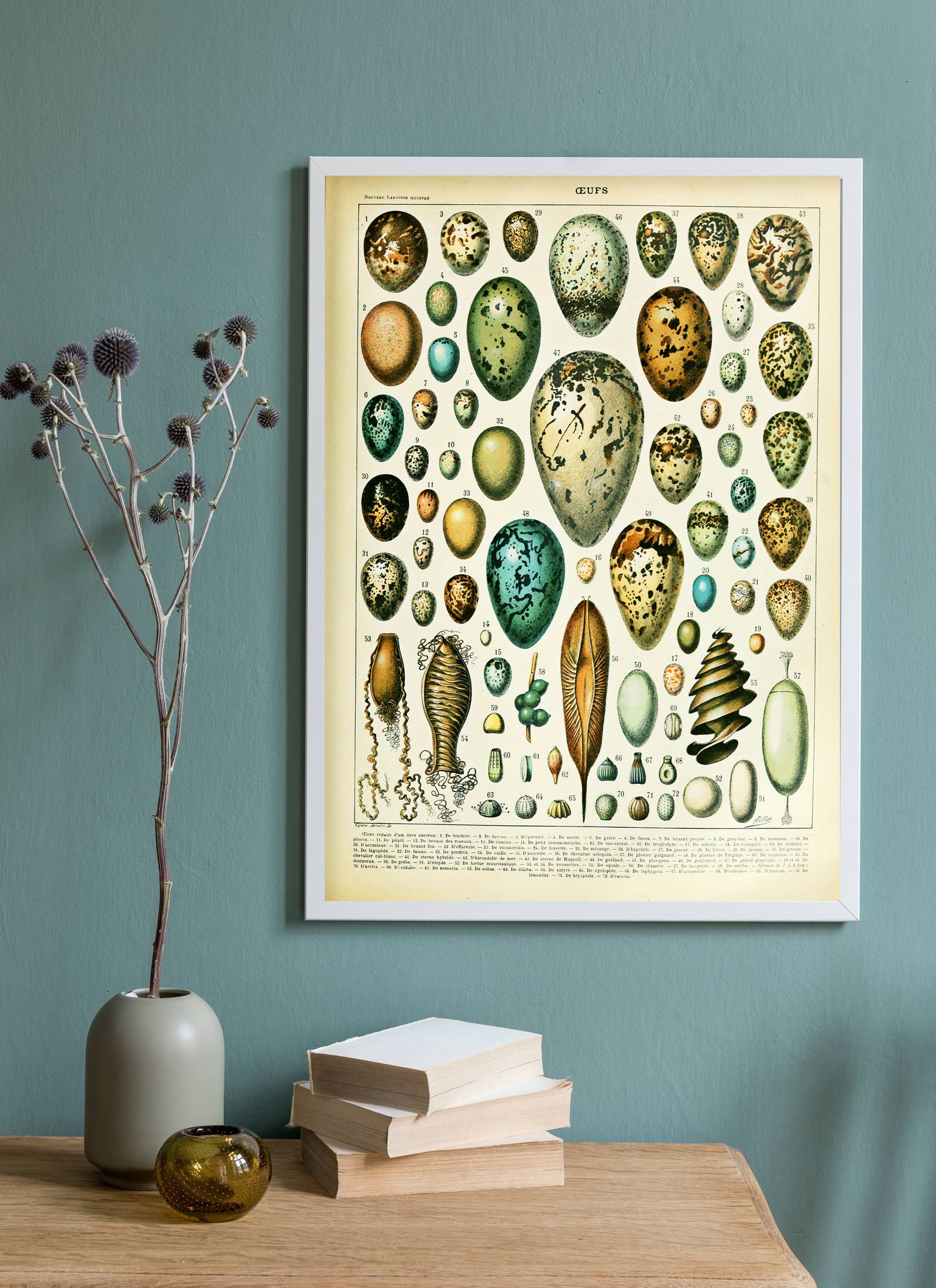 Adolphe Millot Prints, Eggs Chart Print, Adolphe Millot Vintage Eggs ...