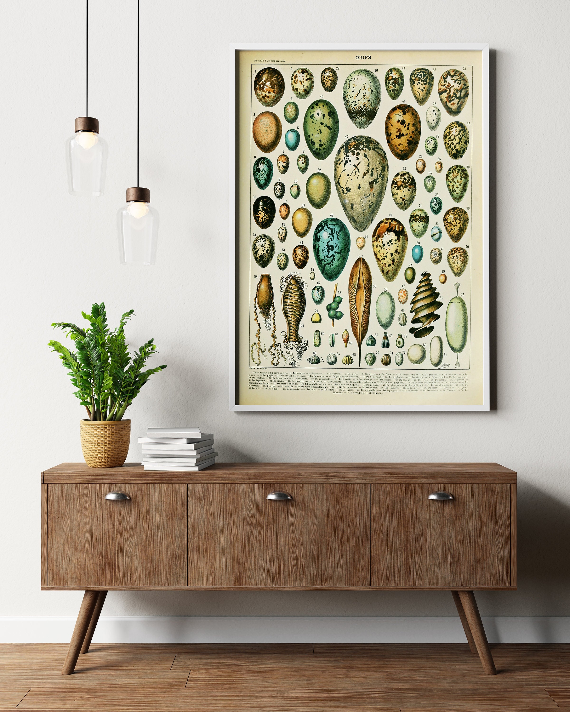 Adolphe Millot Prints, Eggs Chart Print, Adolphe Millot Vintage Eggs ...