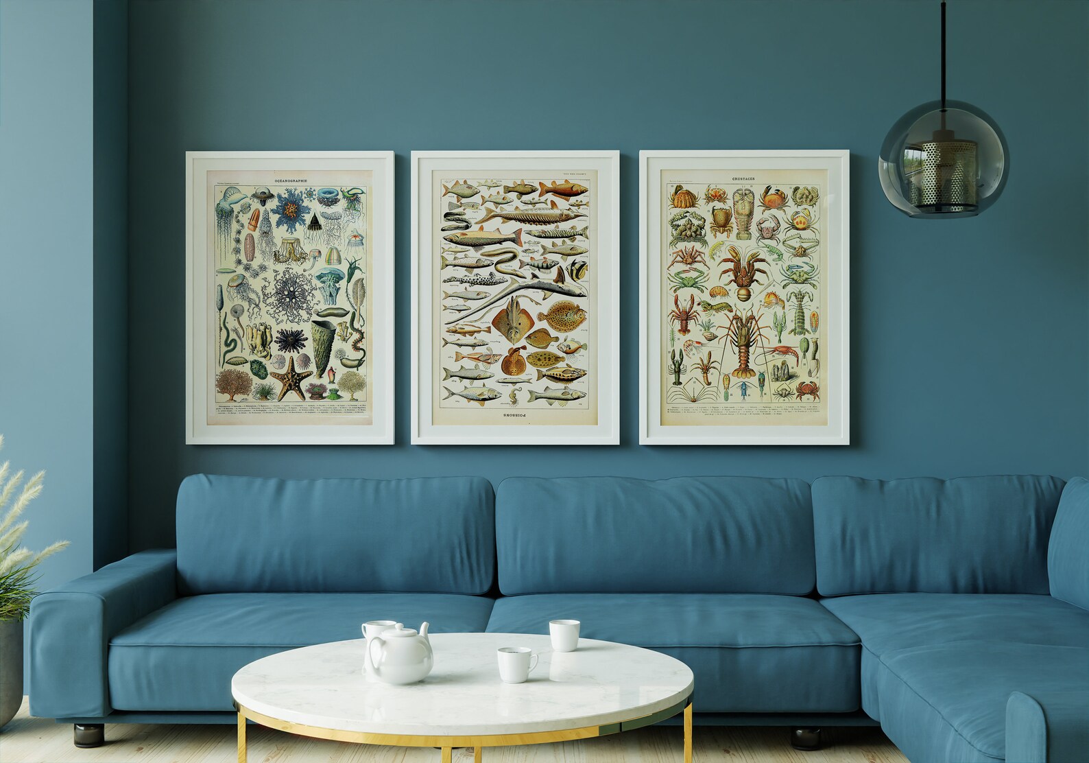 Adolphe Millot Fishes, Ocean Life, Molluscs,sea Creatures Poster Set ...