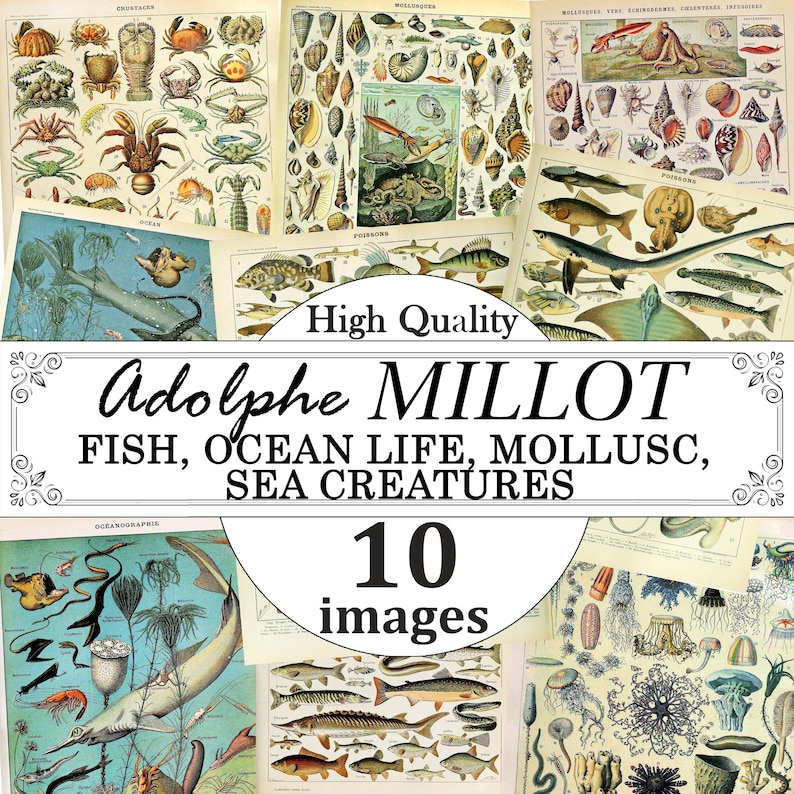 Adolphe Millot Fishes, Ocean Life, Molluscs,sea Creatures Poster Set ...