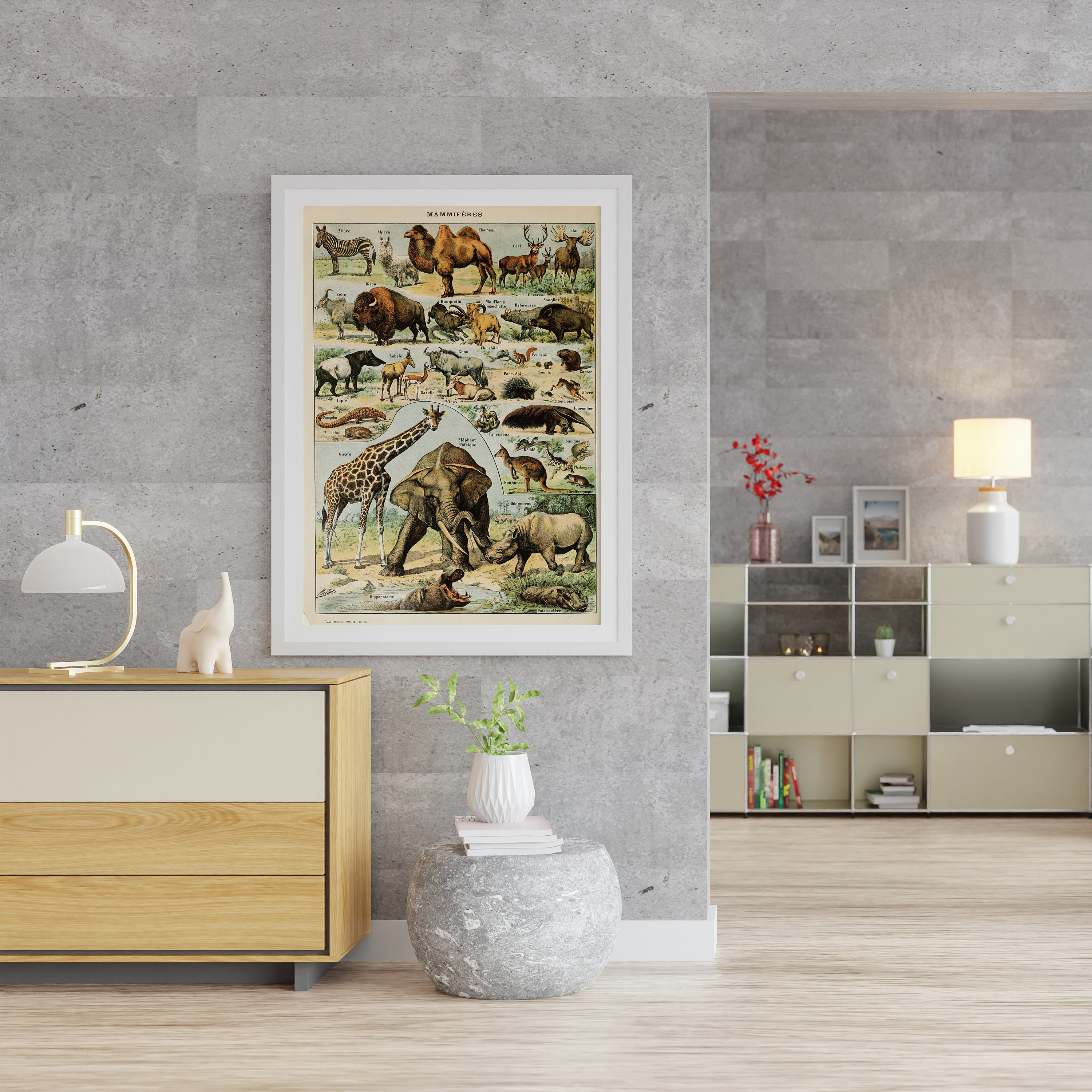 Adolphe Millot Prints, Mammals Chart Print, Adolphe Millot Vintage ...