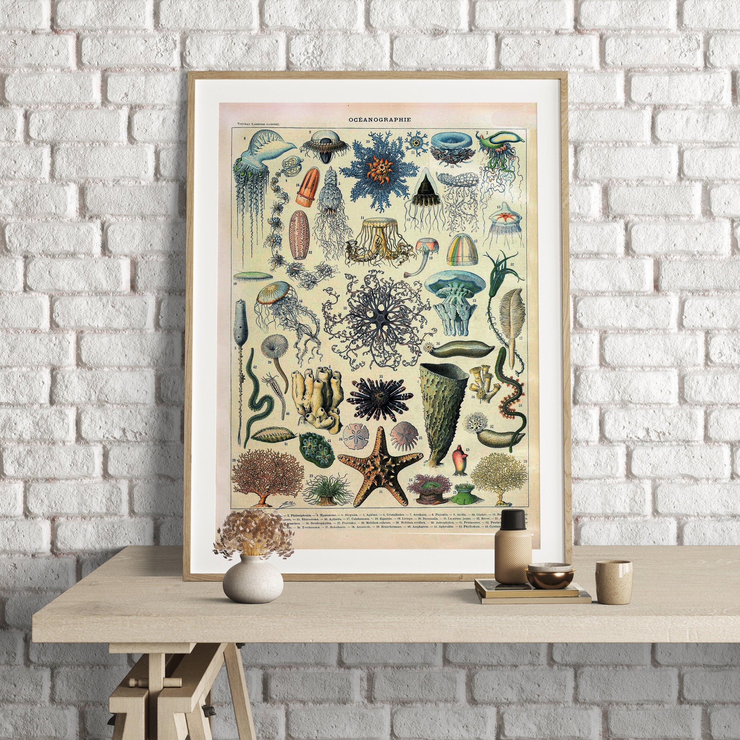 Adolphe Millot Prints, Vintage Sea Life Poster, Ocean Art Print, Sea ...