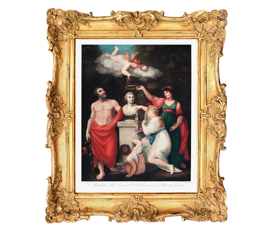 Aesculapius, Flora, Ceres and Cupid Honouring the Bust of Linnaeus by ...