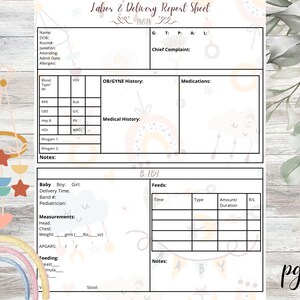 Labor and Delivery Report Sheet Colorful Cute Baby Nurse | Etsy