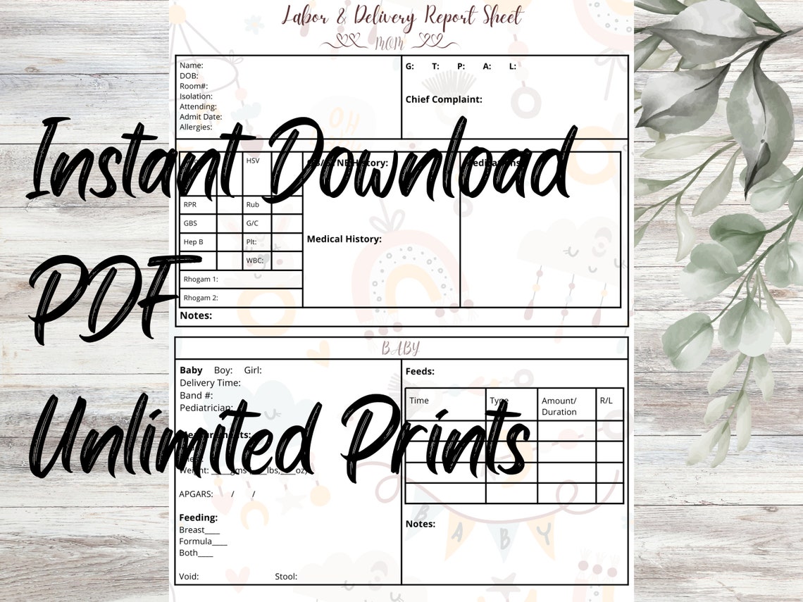 Labor and Delivery Report Sheet Colorful Cute Baby Nurse - Etsy