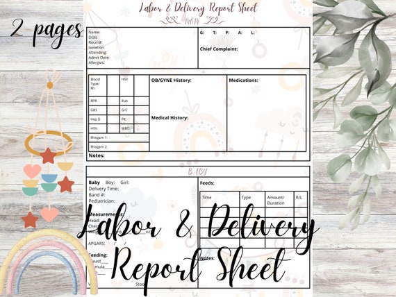Labor and Delivery Report Sheet Colorful Cute Baby Nurse | Etsy