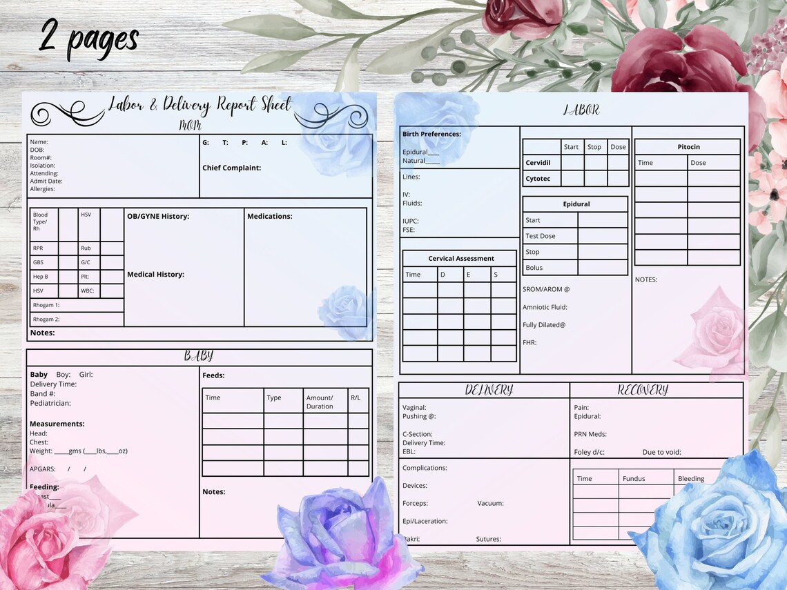 Labor and Delivery Report Sheet Colorful Nurse Report Nurse Brain LDRP ...