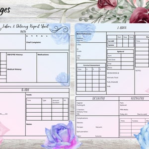 Labor and Delivery Report Sheet | Colorful Nurse Report | Nurse Brain ...