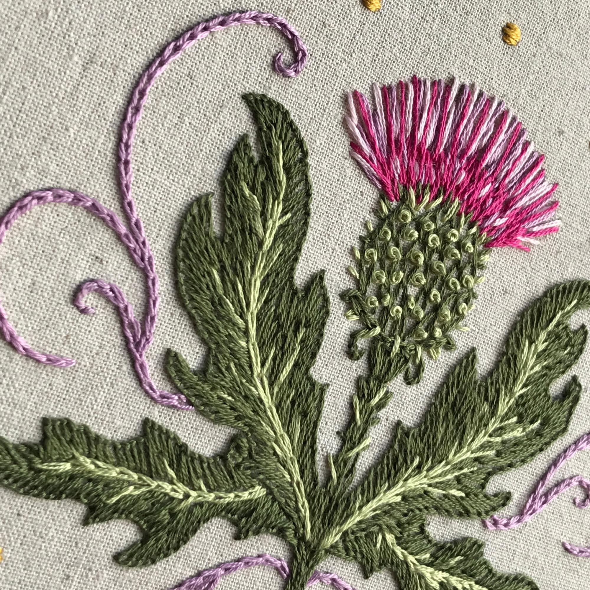 Hand Embroidery Kit Thistle Design Cultural Patterns DIY Craft Scottish ...