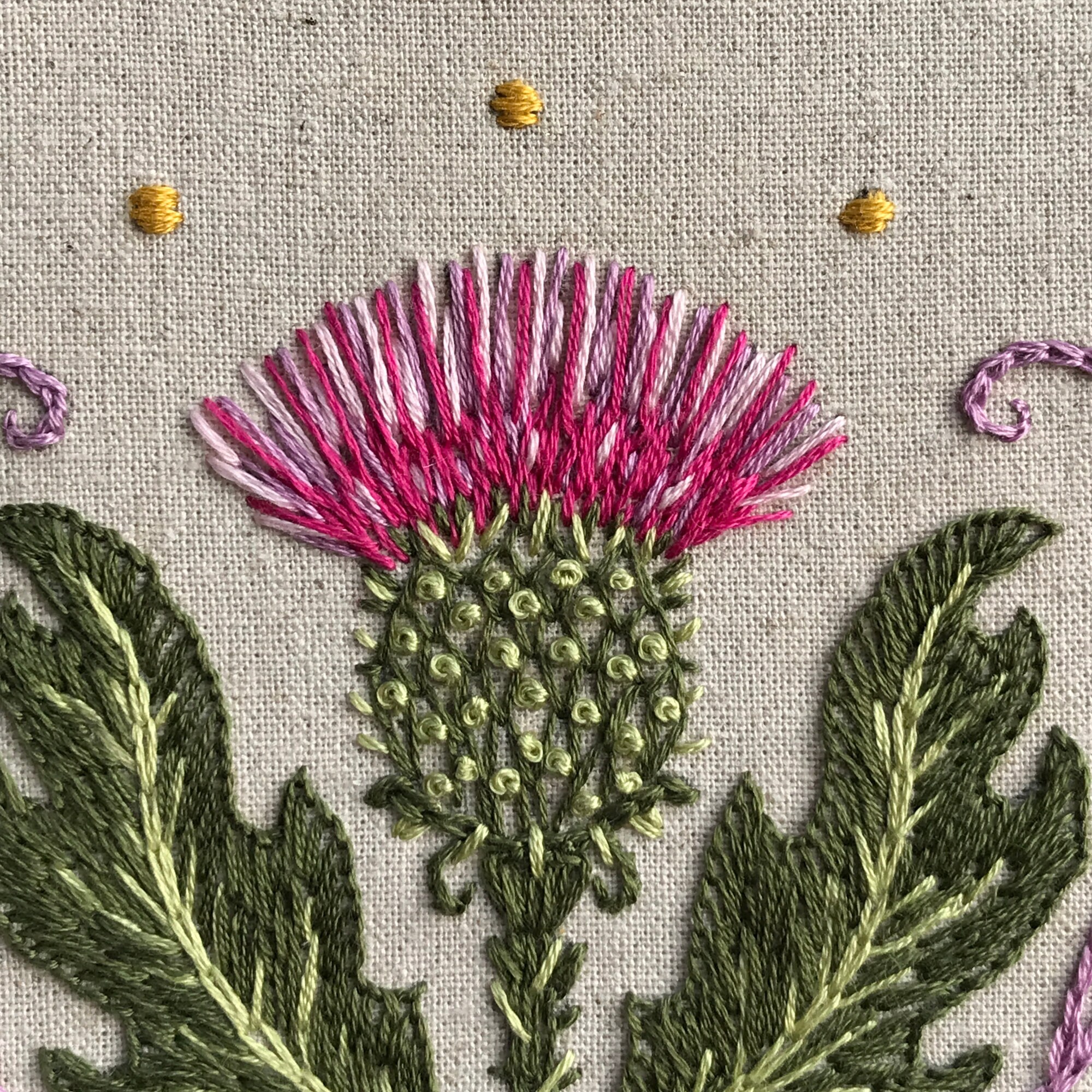 Hand Embroidery Kit Thistle Design Cultural Patterns DIY Craft Scottish ...